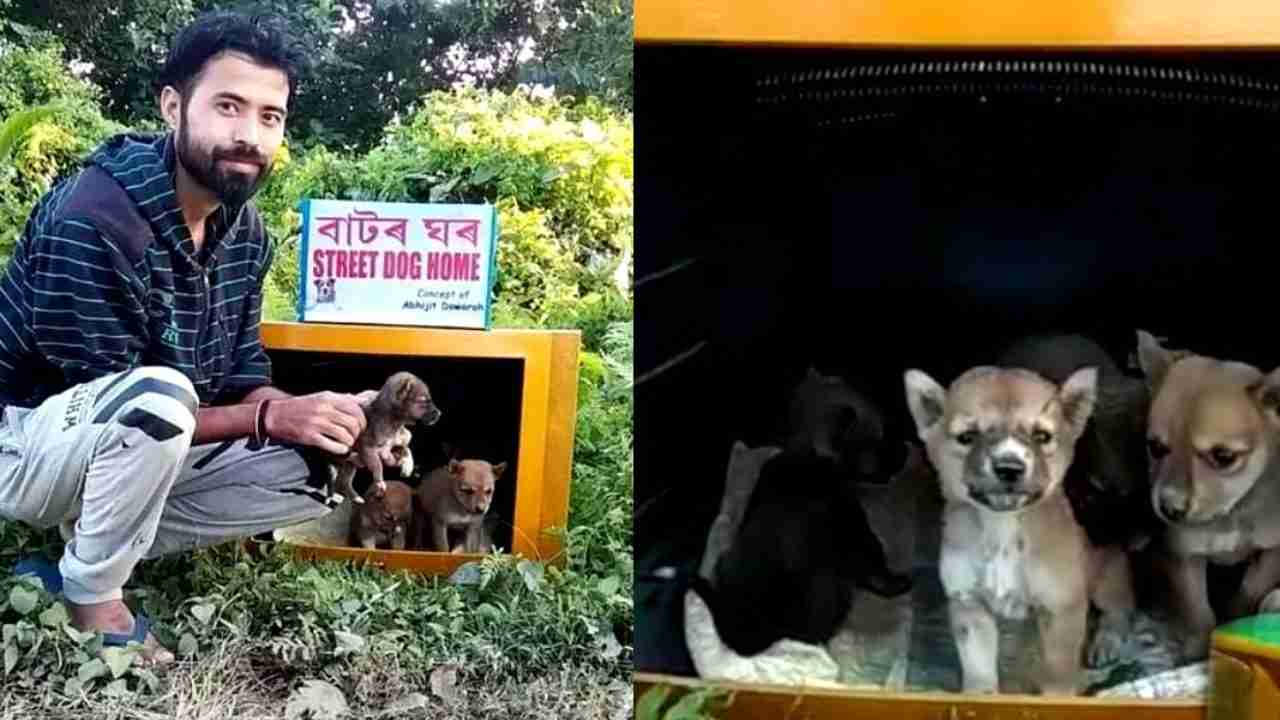 Assam youth Abhijit Dowarah builds tiny kennels for stray dogs, see photos